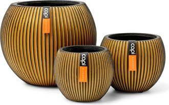 Capi Europe Mix Box Gefäß Kugel Groove Gold - Gold - Blumentöpfe für den Innenbereich - Geschenkset