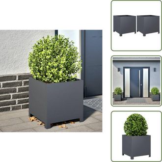 vidaXL The Living Store - vidaXL Jardini&egrave;res 2 pcs anthracite 40x40x40 cm acier