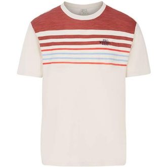 Protest Herren Shirt PRTHowlen