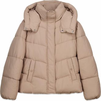Springfield Winterjacke
