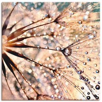 Artland Wanddeko Leinwand Bilder Wandbild 50x50 cm Blumen Pusteblume Botanik Wassertropfen Modern Kunst Surreal S8WZ