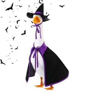 Generic Hexenkost&uuml;m f&uuml;r -G&auml;nse, Gartenkleidung f&uuml;r G&auml;nse mit Hexenhut, Kleidung f&uuml;r Au&szlig;enstatue, Rasendekorationen f&uuml;r Herbstfeste, saisonale Veranstaltungen 