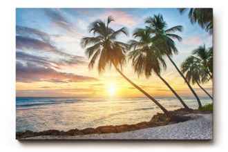 Paul Sinus Art Sinus Art Wandbild 120x80cm Stimmungsvolles Motiv mit Palmen, Sandstrand und Sonnenuntergang - ideal für entspannte Raumgestaltung