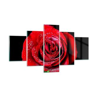 Arttor Mehrteilige Bilder auf Glas Rose Blume Bl&uuml;tenbl&auml;tter Wasser Glasbild 125x70cm Wandbilder Dekoration Wohnzimmer Schlafzimmer K&uuml;che Set 5 teilige Klein 