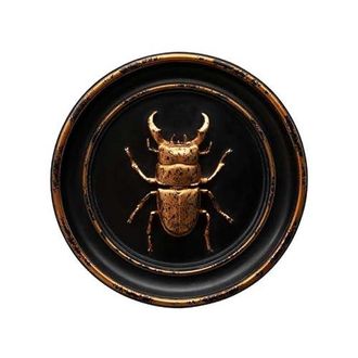 Chehoma Cadre scarab&eacute;e r&eacute;sine Noir et dor&eacute; 20cm - Art d&eacute;co animal-themed contemporary wall art - Salle de s&eacute;jour