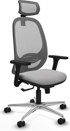 Piqueras y Crespo Ergonomischer Stuhl mit 3D-Armen, h&ouml;henverstellbare Lendenwirbelst&uuml;tze und h&ouml;henverstellbares Kopfteil, Grau/Hellgrau