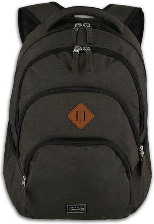 Travelite Handgepäck Rucksack, Laptop Rucksack 15,6 Zoll, BASICS, Daypack, Tagesrucksack mit vielen Fächern, 45 cm, 22 Liter