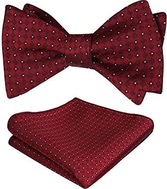 Alizeal Ensemble noeud papillon &agrave; pois et carr&eacute; de poche pour homme, taille unique