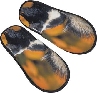 Generic Pantoufles DH&ocirc;tel Motif Moufette Mignon L&eacute;gers Pantoufles En Feutre Antid&eacute;rapant Chausson Hotel Pour Int&eacute;rieur Homme Spa L