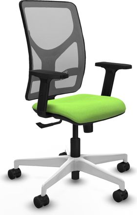 Piqueras y Crespo B&uuml;rostuhl mit hoher R&uuml;ckenlehne, mit 2D-Armlehnen, h&ouml;henverstellbare Lendenwirbelst&uuml;tze, ausgestattet mit 3 Positionen und Schneideschaum, Grau/Pistaz