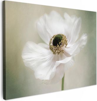 MuchoWow © Wandbilder 80x60 cm Wohnzimmer Wanddeko Blumen Leinwandbild Schlafzimmer Zimmerdeko Fotowand Zimmer Deko Wand Dekoration Wall Art Blumen - Natur - A