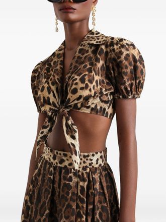 Dolce & Gabbana Leopard-Print Cotton Shirt - Brown