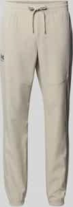 Under Armour Regular Fit Jogger mit Logo-Print Modell Vibe