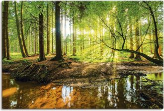 Artland Wanddeko Leinwand Bilder Wandbild 120x80 cm Wald Natur Landschaft Bach Sonne Baum Sonnenstrahlen T9IO