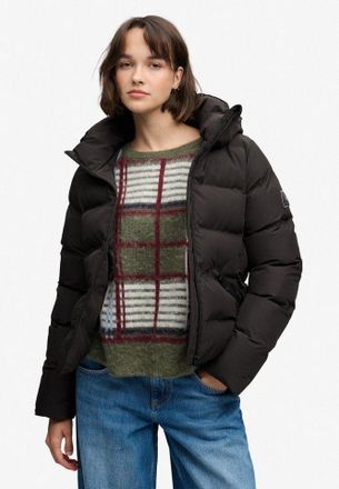 Superdry Steppjacke HOODED CITY PADDED JACKET Kunstfaser, relaxed fit