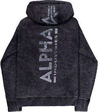 Alpha Industries Hoodie Backprint Hoodie Vintage