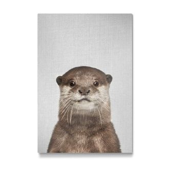 artboxONE Galerie-Print 30x20 cm Otter - Colorful hochwertiges Acrylglas auf Alu-Dibond Bild - Wandbild von Gal Design