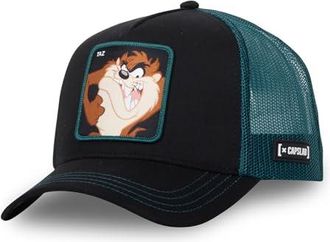 Capslab Taz Looney Tunes Noir Casquette de Camionneur