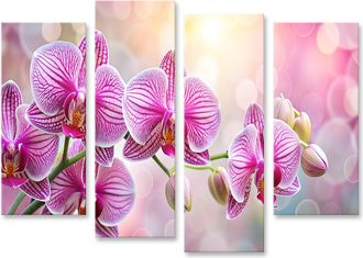 Islandburner Bild auf Leinwand Rosa Orchideen Flecken Streifen Bilder Wandbilder Poster