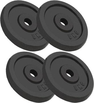 vidaXL Hantelscheiben 4 Stk. 4x5 kg Gusseisen Vidaxl