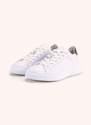 Lloyd Modo Sneaker braun