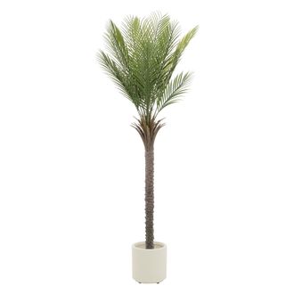 ML Design ML-Design K&uuml;nstliche Palme 180 cm, K&uuml;nstliche Pflanzen gro&szlig;, Tropische Kunstpalme, Kunstpflanze, Fake Plant Deko, Plastik Pflanze im Topf f&uuml;r Indoor/O