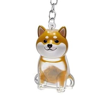 Generic Porte-cl&eacute;s animal mignon - Porte-cl&eacute;s de rangement de poils de chat et de chien mignon - Pendentif transparent Souvenir Bras de poche pour la collecti