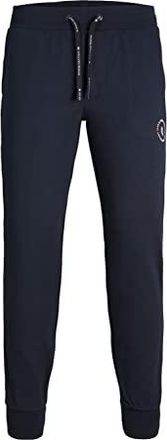 Jack & Jones JPSTGORDON JJSHIELD Sweat Pants GMS Pantalon De Sport, Seaborne, L pour des Hommes