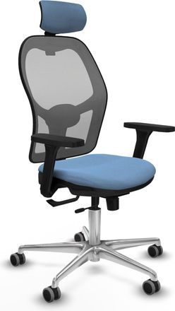 Piqueras y Crespo Ergonomischer Computerstuhl mit 3D-Armen, h&ouml;henverstellbarer Lendenwirbelst&uuml;tze und h&ouml;henverstellbarem Kopfteil, Grau/Himmelblau