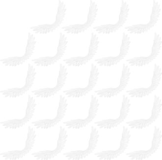 Hemobllo UKCOCO 24 St&uuml;ck Selbstgemacht Engelsfl&uuml;gel Bastelornamente aus Kunststoff Leicht Langlebig Weihnachtsdekoration f&uuml;r Christbaumschmuck Kranzgestaltung