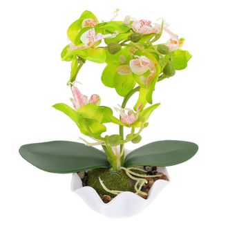BESPORTBLE Cabilock K&uuml;nstliche Orchideen Phalaenopsis im Topf K&uuml;nstlicher Blumenbonsai aus Langlebigem Material Gr&uuml;ne Kunstpflanze zur Wohn und B&uuml;rodekoration