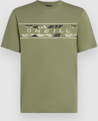 O'Neill Front Graphic T-Shirt avery fern