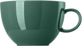 Thomas 10850-408546-14642 Tee-/Kombi-Obertasse, Porzellan