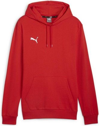 Puma Hoodie teamGOAL Casuals Hoody