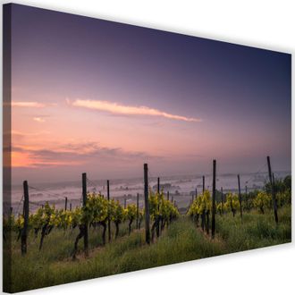 Feeby Leinwandbilder Weinrebe Bilder Kunstdruck Natur Landschaft Violett 60x40 cm