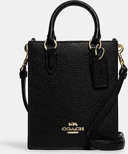 Coach North South Mini Tote