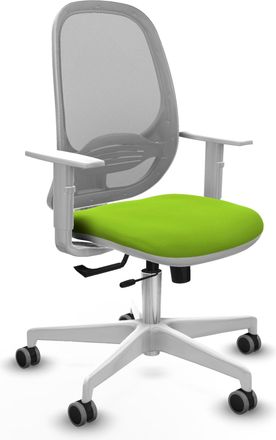 Piqueras y Crespo Cilanco Arbeitsstuhl mit wei&szlig;en Armlehnen, h&ouml;henverstellbare Lendenwirbelst&uuml;tze, ausgestattet mit Syncro/Traslack und Schneideschaum, Grau/Pistazie