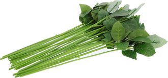 Valiclud ABOOFAN K&uuml;nstliche Rosenstiele 30 St&uuml;ck Umweltfreundlicher Kunststoff Naturgetreu Simulierte Bl&auml;tter Langlebige Selbstgemacht Blumenstiele f&uuml;r Kreativ