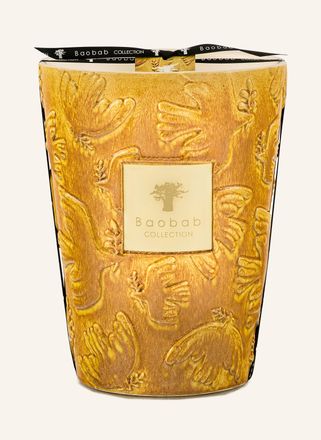 Baobab Baobab Collection Duftkerze Paz Dove gelb