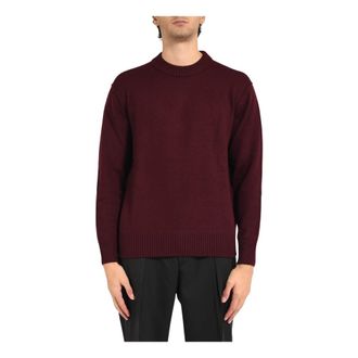 Paolo Pecora Homme, Pulls, Violet, Taille: L Maille ras du cou