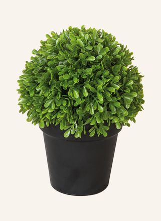 Fink Kunstblume Buchskugel gruen