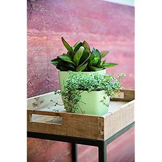 Nicoli 1313sa Origin Decor Spritzguss Verve Vase, quadratisch, Salbei, 13 cm