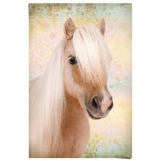 Reinders Poster, Sweet Horse, Kinderzimmer, Poster, Wanddeko, Room Decor, 150 gr. gl&auml;nzend Bilderdruckpapier, Braun, 91,5 x 61