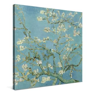 Picanova Vincent Van Gogh Almond Blossom 80x80 cm - Bild auf Leinwand - Leinwandbild - Premium Leinwanddruck - Kunstdruck Auf 2cm Holz-Keilrahmen Für Schlaf- U