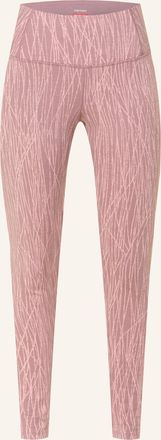 Icebreaker Funktionsw&auml;sche-Hose Merino 260 Vertex Aus Merinowolle rosa