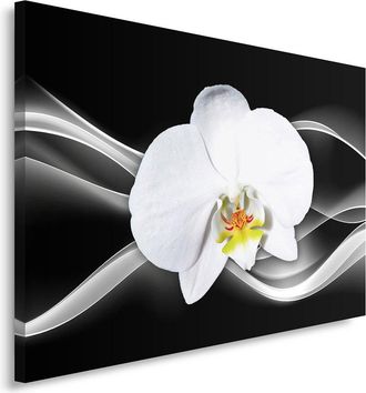 Feeby ORCHIDEE Bild auf Leinwand Gr&ouml;&szlig;e: 70x100 cm, 1 Teilig Leinwanbild Wandbild Kunstdrucke Wanddeko NATUR ABSTRAKTION WEI&szlig; SCHWARZ