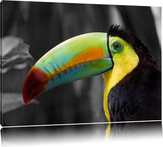 Pixxprint schöner stolzer Tukan B&W, Größe: 100x70cm, Leinwandbild, fertig gespannt, Wandbild, Dekoration, Kunstdruck, kein Poster