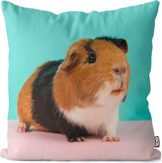 Void Watches Meerschweinchen rosa Kissenbezug Kissenh&uuml;lle Sofakissen Kissen Deko Outdoor-Kissen Dekokissen, Kissen Gr&ouml;&szlig;e:40 x 40 cm