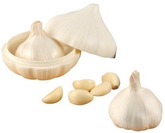 Fackelmann 47373 Coffre-Fort &agrave; ail, Plastique