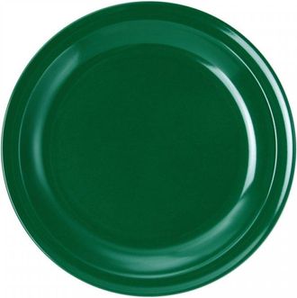 WACA 1928 Speisenteller Kunststoffteller Dm 235 mm, Farbe:gr&uuml;n